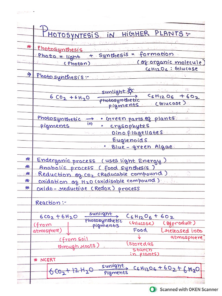 Photosynthesis in Higher Plant - Handwritten Notes | PDF