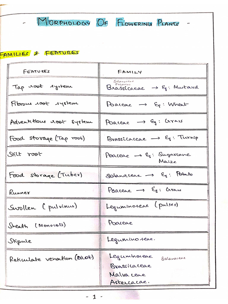 Families of Flowering Plants | PDF