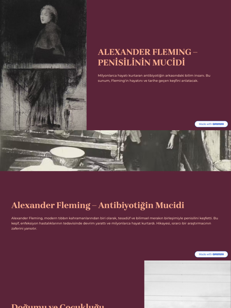Alexander Fleming Penisilinin Mucidi | PDF