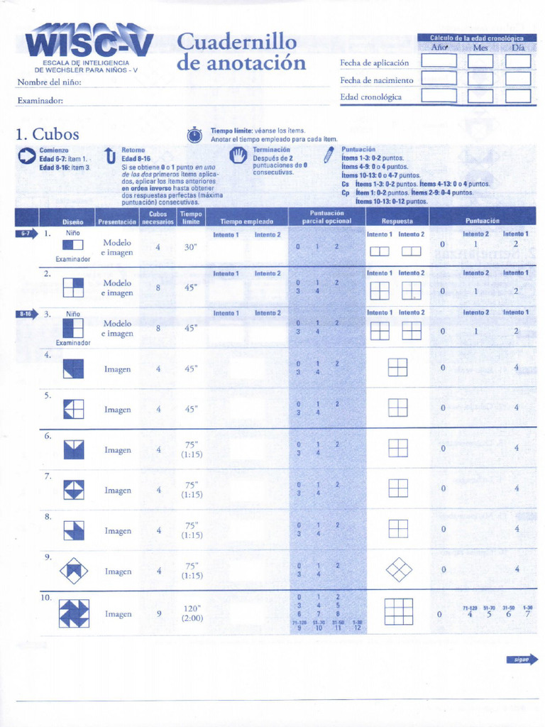Protocolo Wisc V | PDF