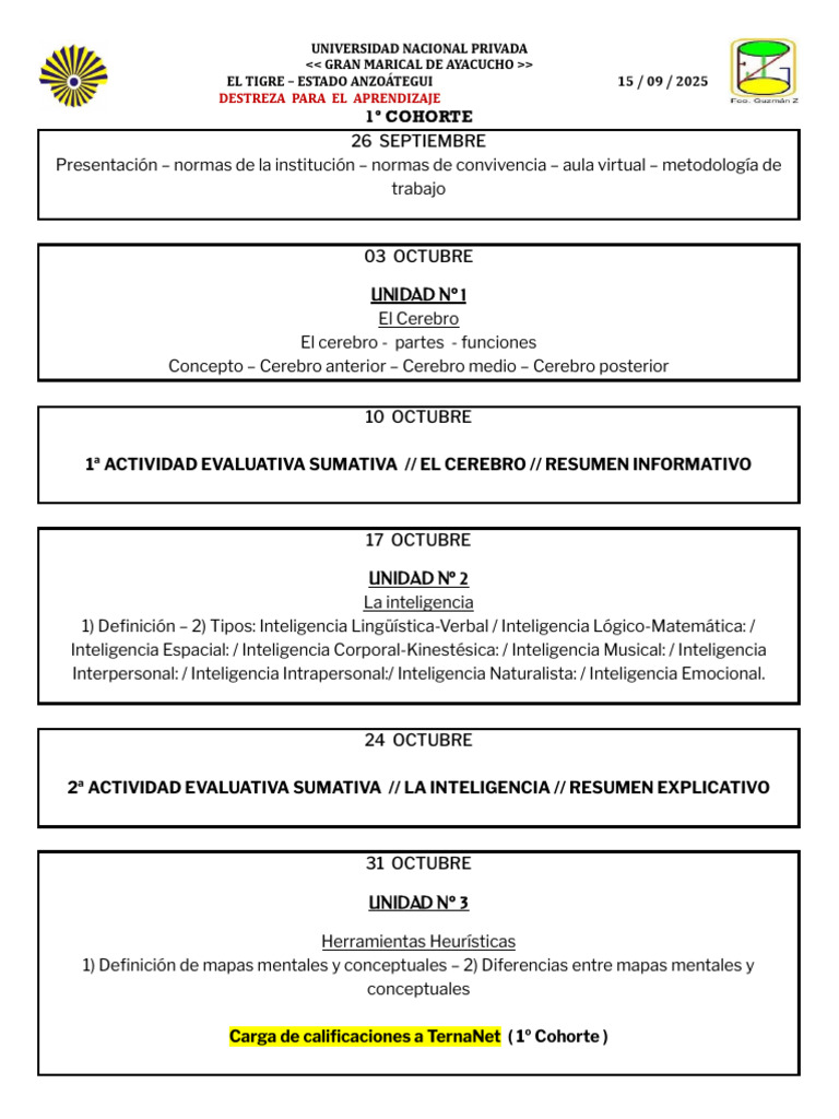 Planificaci N Docente | PDF | Pensamiento | Inteligencia