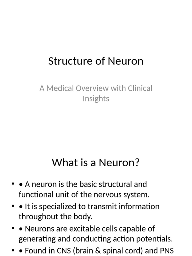 Structure of Neuron Presentation | PDF
