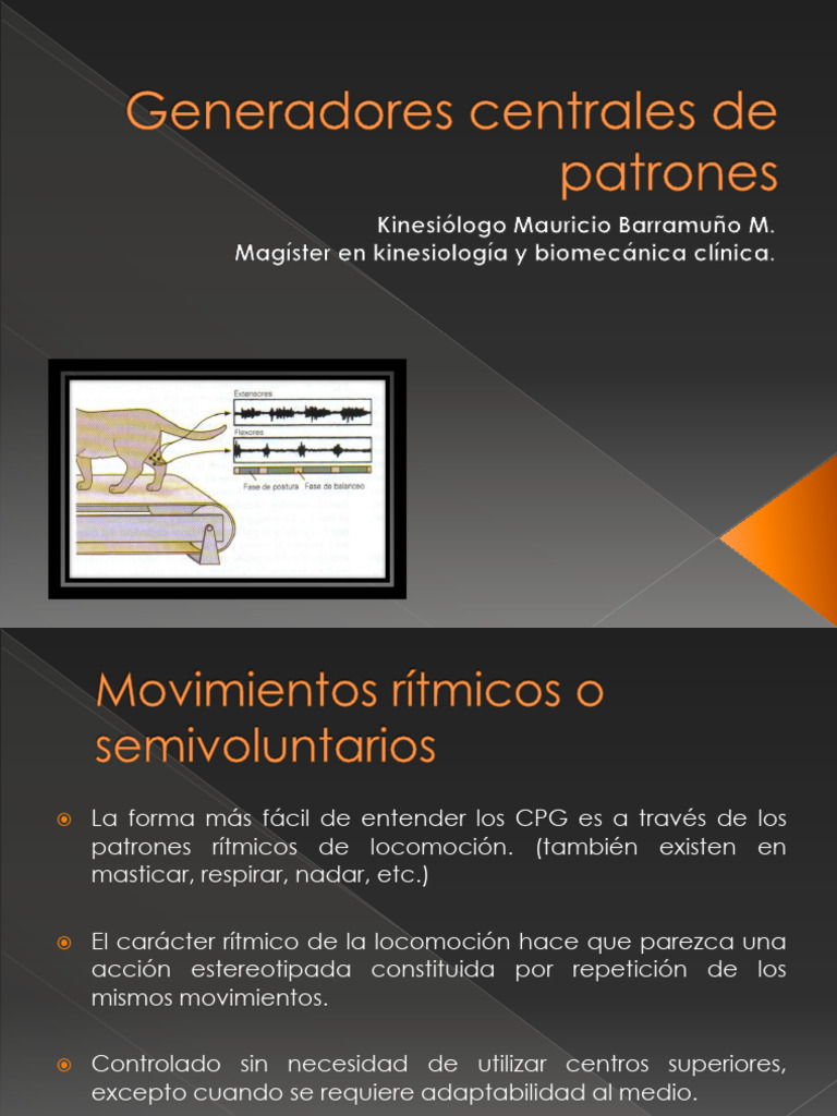 Clase 12 - Centros Generadores de Patrones | PDF | Neurona | Médula espinal