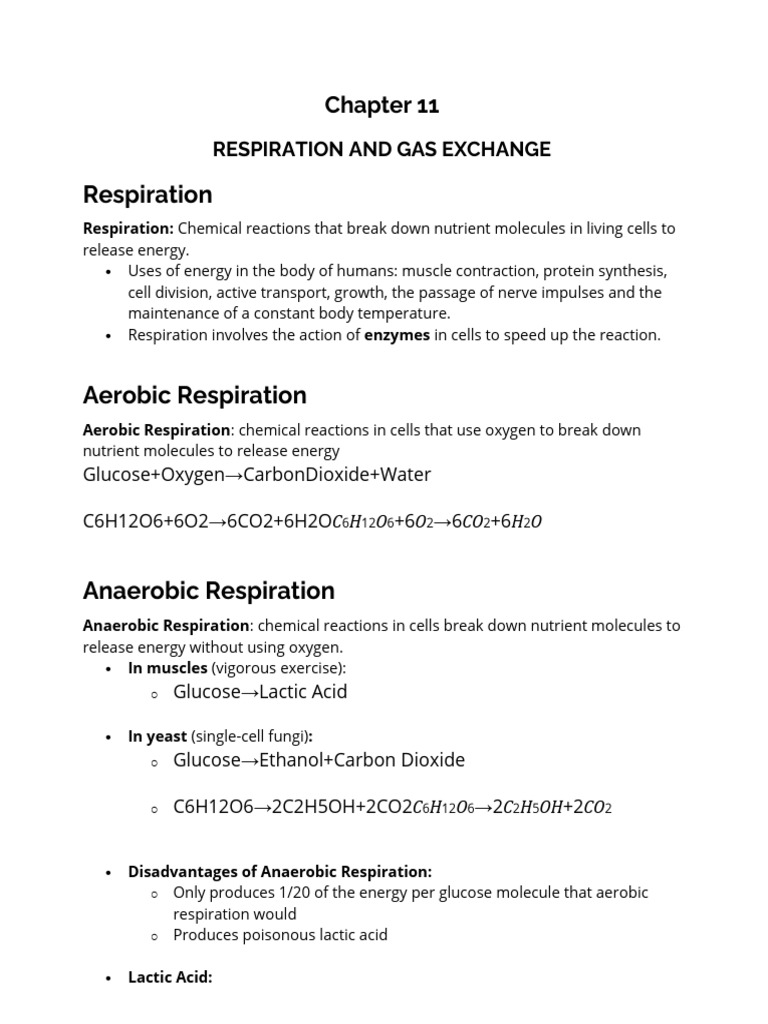 Respiration and Gas Exchange in Humans | PDF | Respiratory System ...