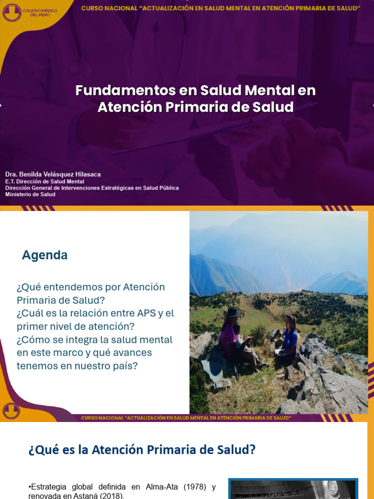 Salud Mental en Atención Primaria de Salud | PDF | Salud mental | Hospital