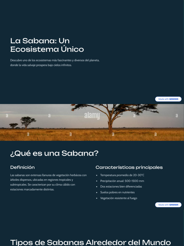 La Sabana Un Ecosistema Unico | PDF | Sabana | Entorno natural