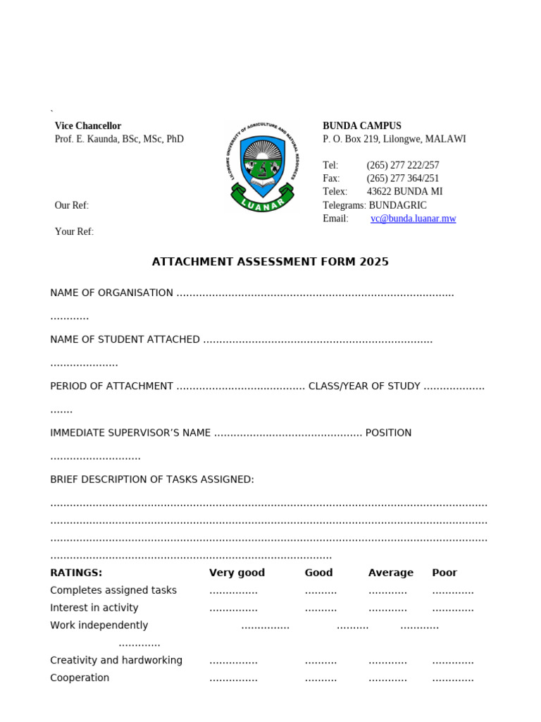 Attachment Assessment Form 2025 | PDF