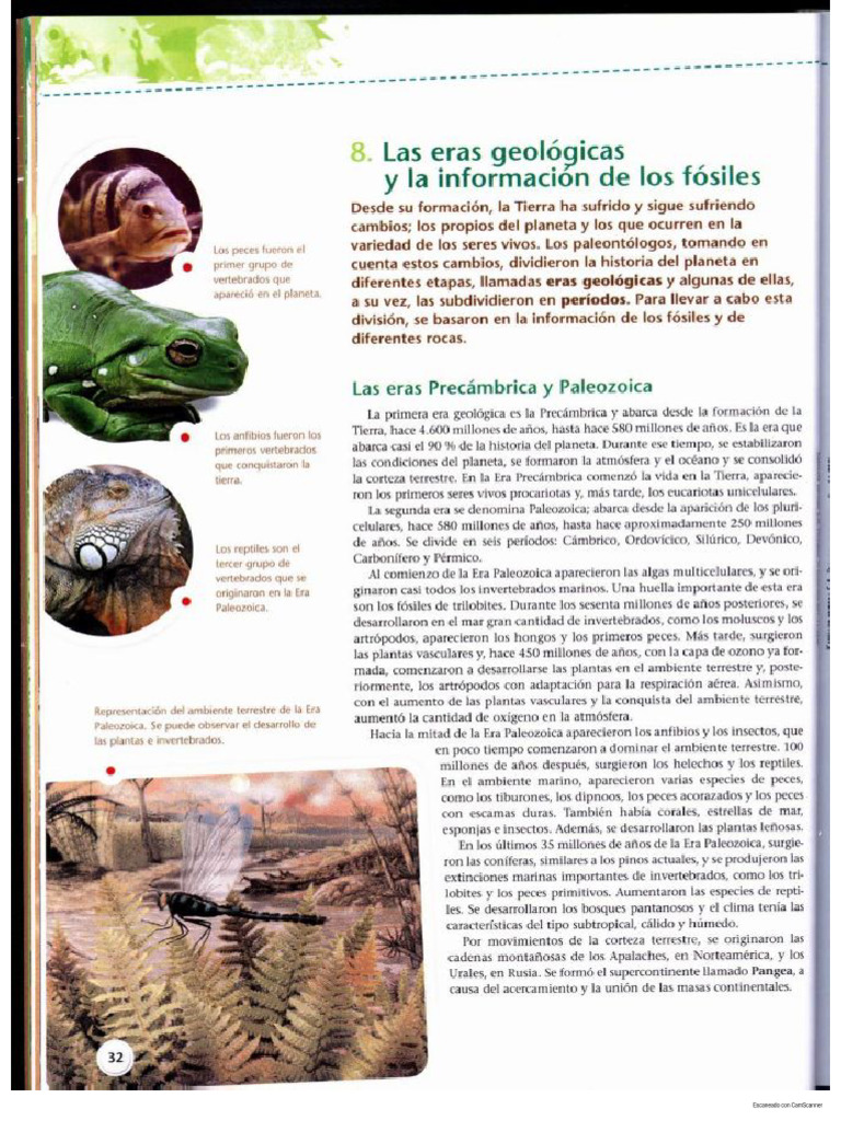 Extracted 2.kapelusz - Biologia para Pensar 2 | PDF