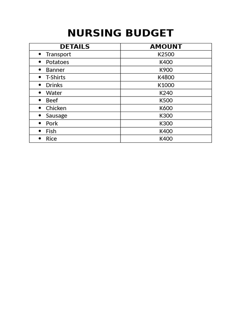 Nursing Budget | PDF