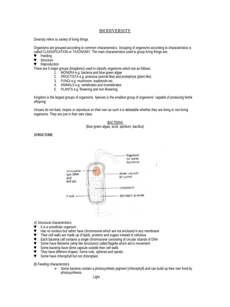 Understanding Biodiversity and Classification | PDF | Bacteria | Virus