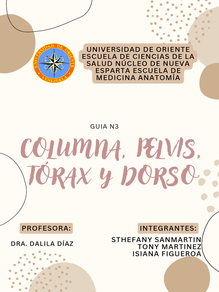 Guía3, Sthefany, Tony y Isiana. | PDF | Vértebra | Pelvis