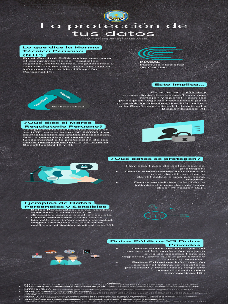 Infografía Protección de Datos - Esquen Gonzales Angel | PDF | Justicia ...