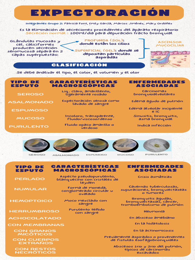 Expectoracion Ayuda Memoria | PDF | Tos | Pulmón