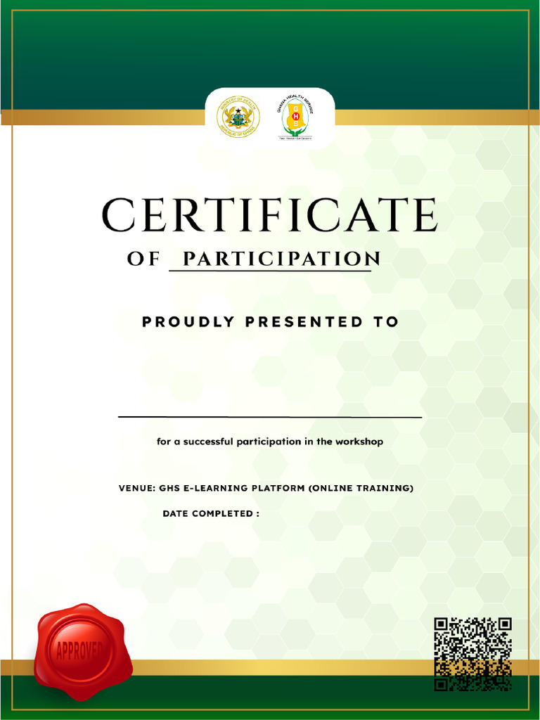 Nursing and Midwifery Practice Standards | PDF