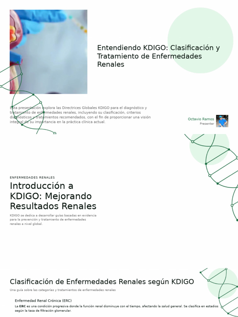 Clasificación KDIGO de Enfermedades Renales | PDF | Enfermedad renal ...