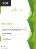 Iindidi zeZimelabizo kwiSizathu | PDF