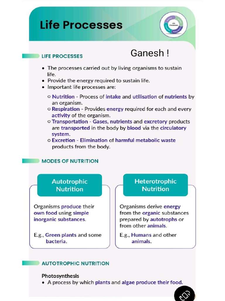 Life Process Biology | PDF
