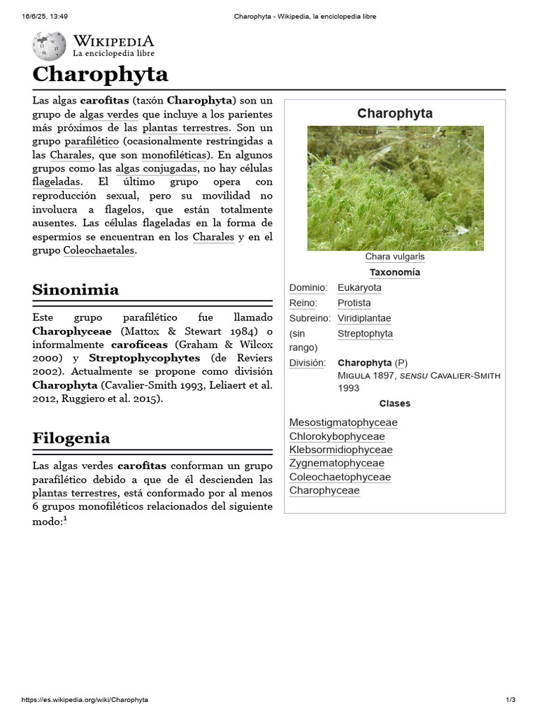 Algas Charophyta y su relación con plantas | PDF | Biología ...