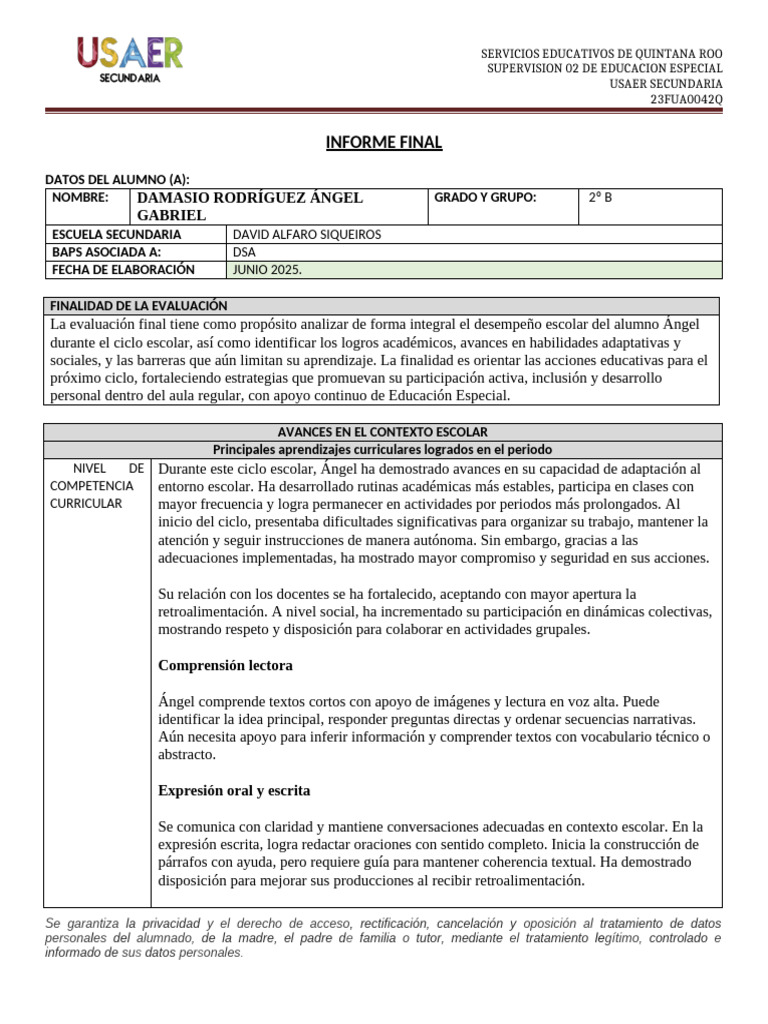 Damasio Informe Final | PDF | Educación especial | Aprendizaje