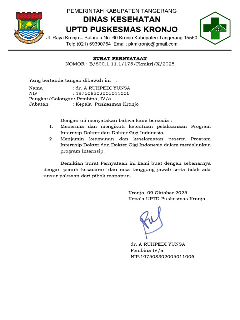 Surat Pernyataan Program Internship Kemenkes | PDF