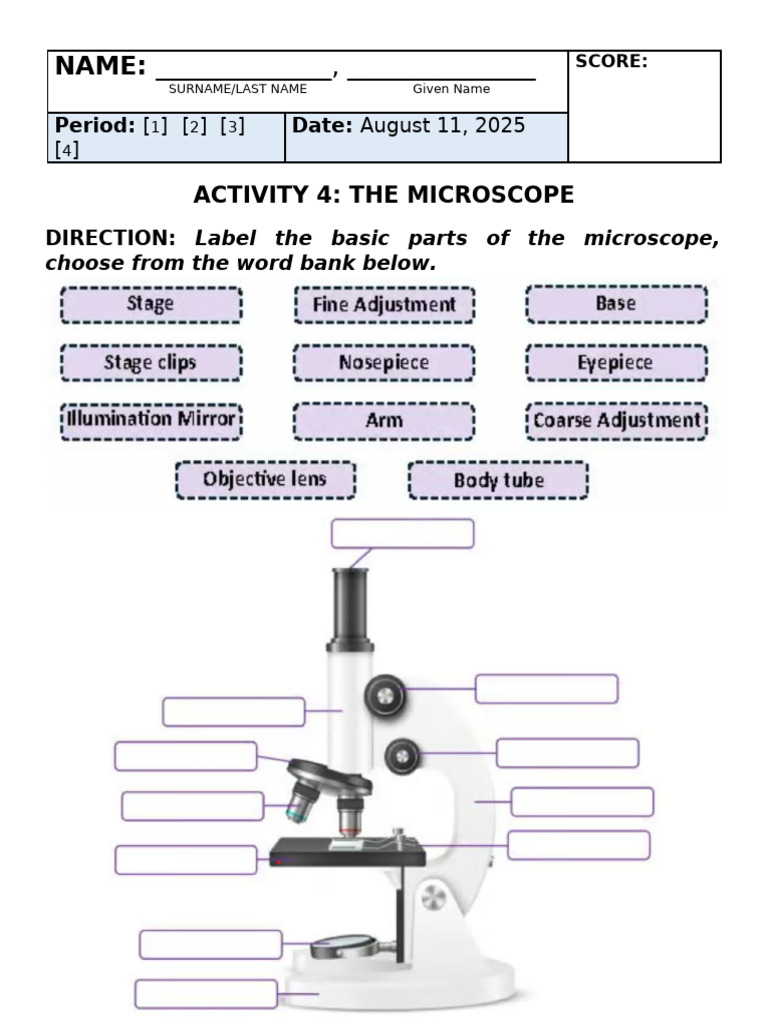 Science 6 Activity 4 The Microscope | PDF