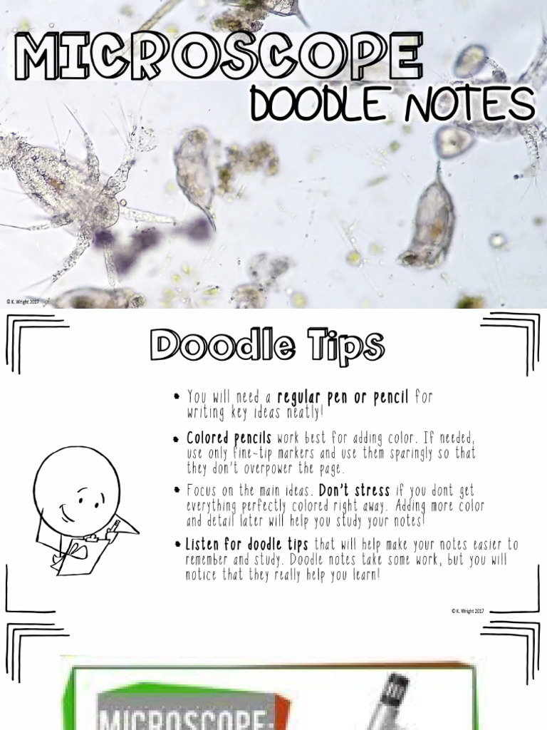 Science 6 The Microscope Doodle Notes Presentation | PDF