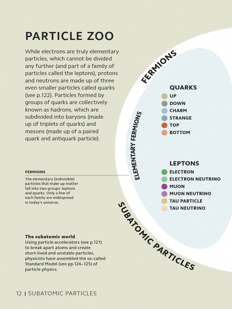 Subatomic Particles and Their Types | PDF | Elementary Particle | Quark
