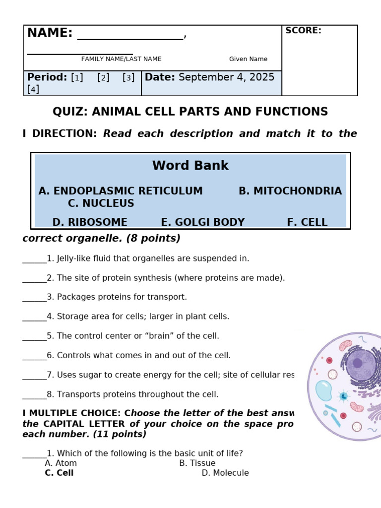Science 6 Quiz Cell Parts and Functions | PDF | Cell (Biology) | Organelle