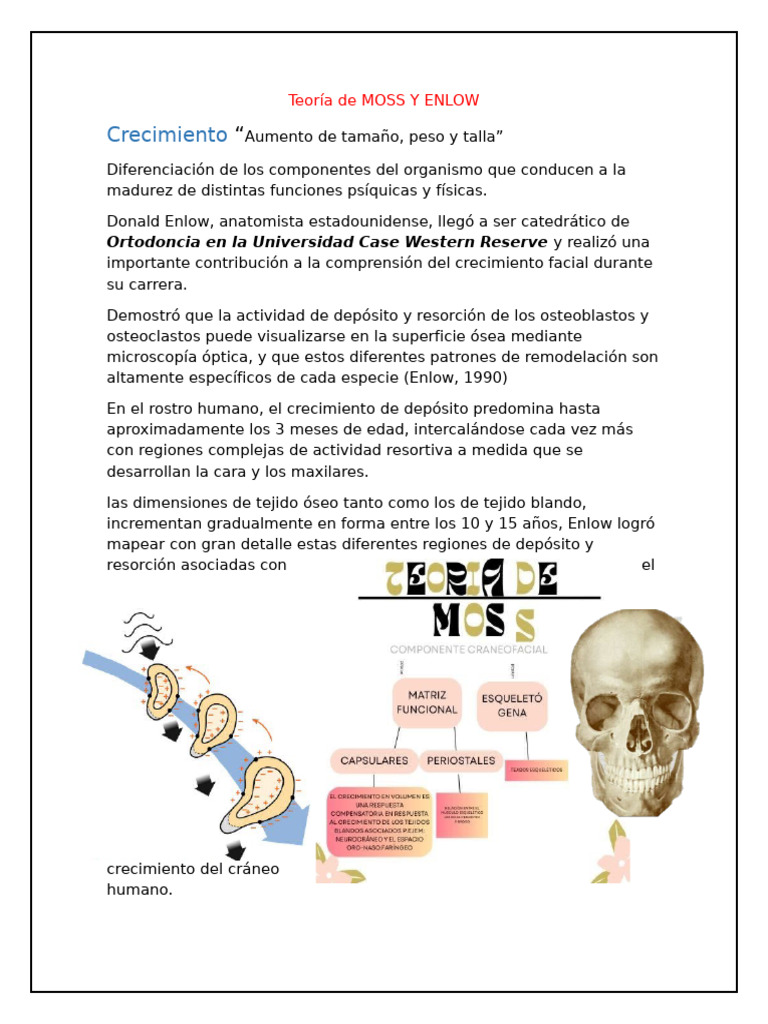 Teoría de MOSS Y ENLOW Readaptacion | PDF | Cráneo | Sistema ...