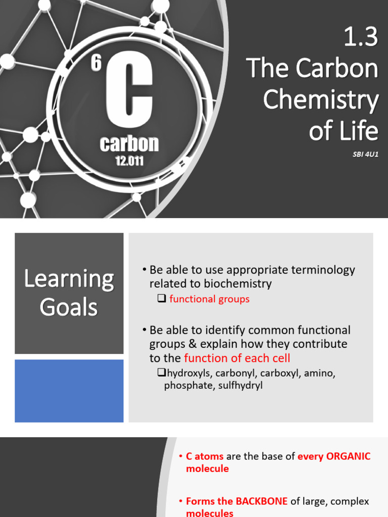 Understanding Carbon's Role in Biochemistry | PDF | Functional Group | Acid