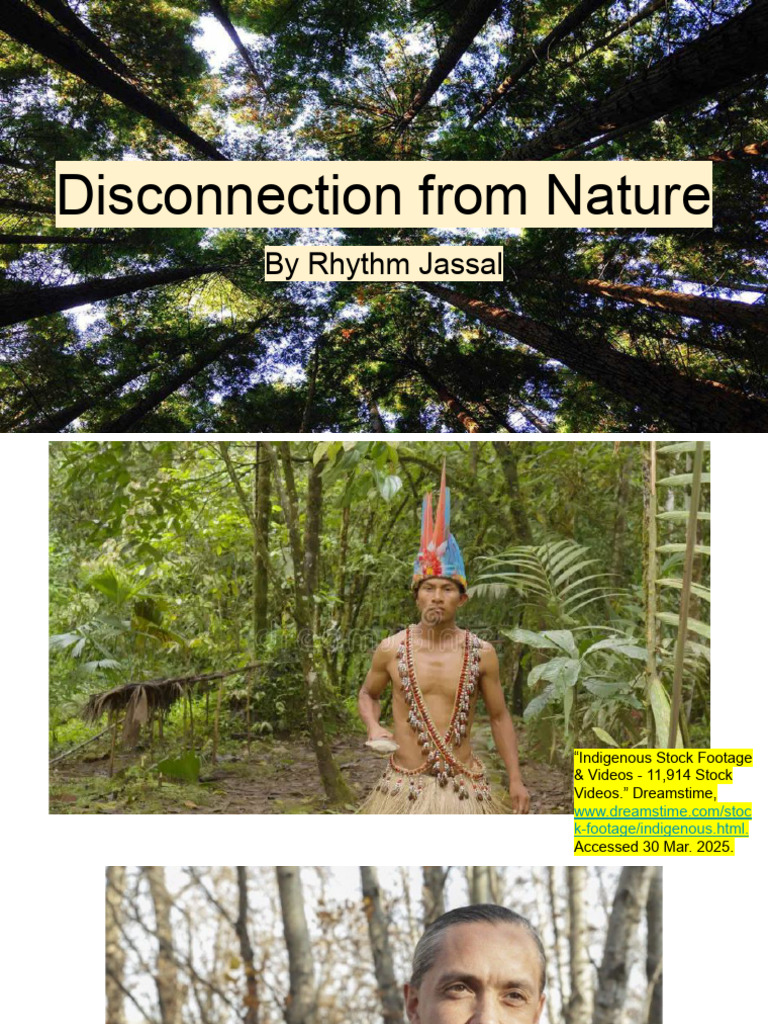 Disconnection From Nature | PDF