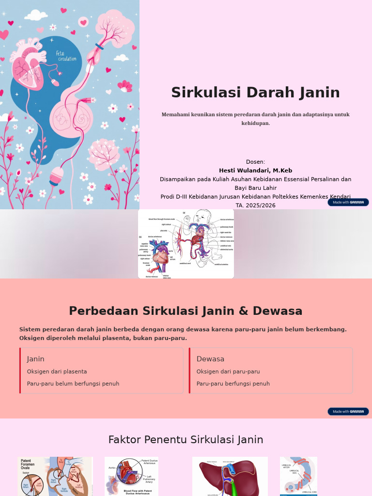 Sirkulasi Darah Janin | PDF