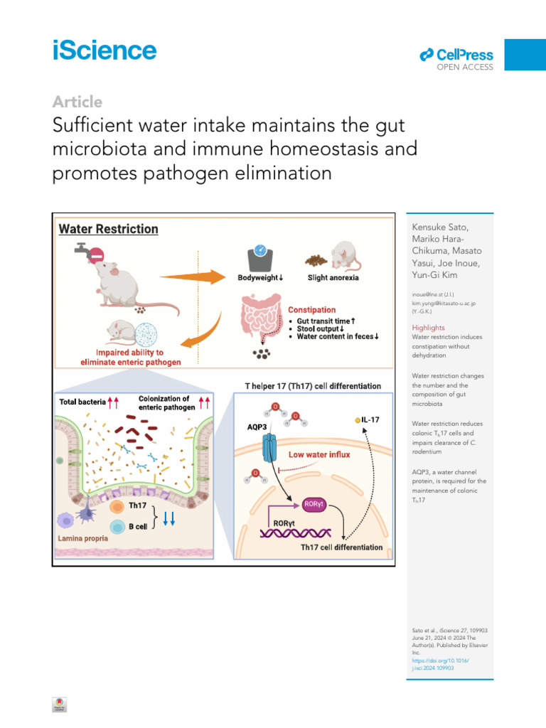 Research Water On Gut Health | PDF | Gastrointestinal Tract | Clinical ...