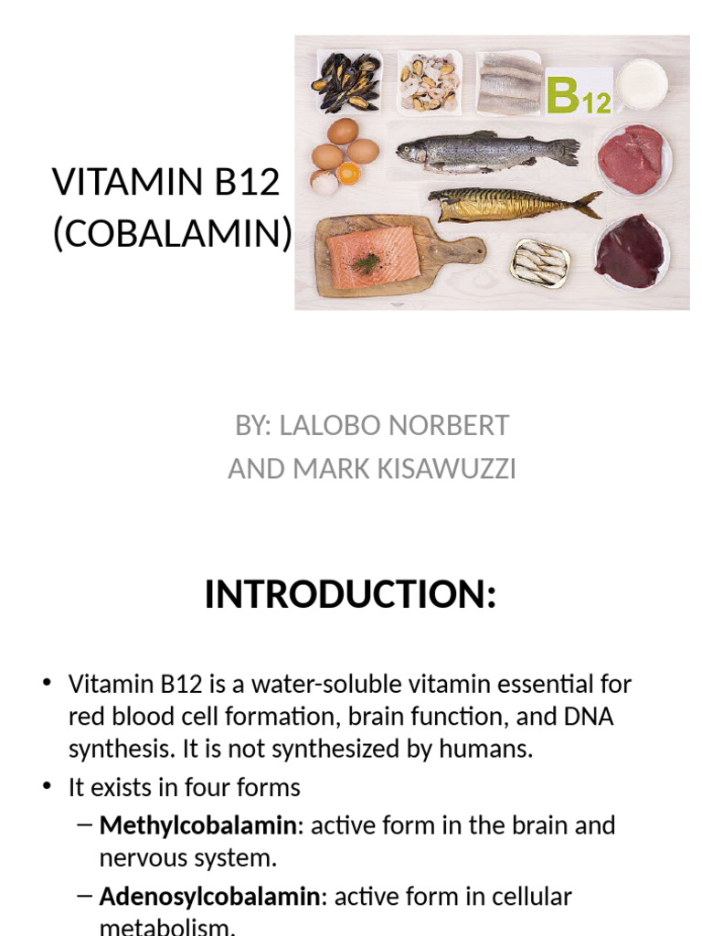 Essential Guide to Vitamin B12 Functions | PDF | Vitamin B12 | Metabolism