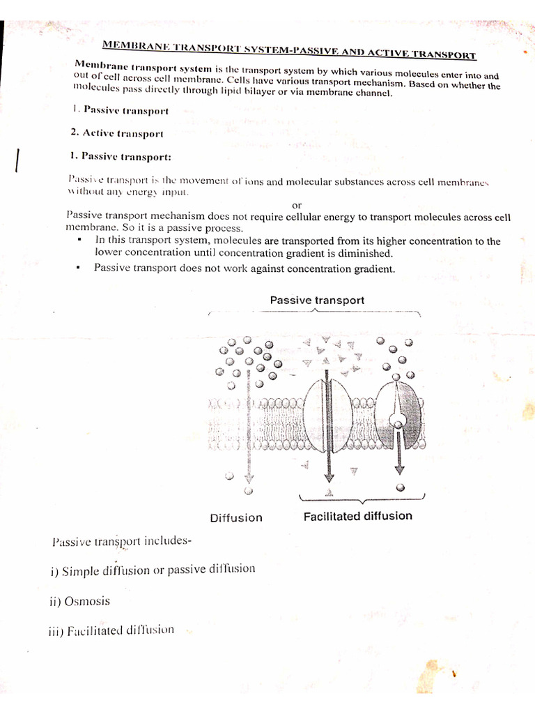 Membrane Transport System | PDF