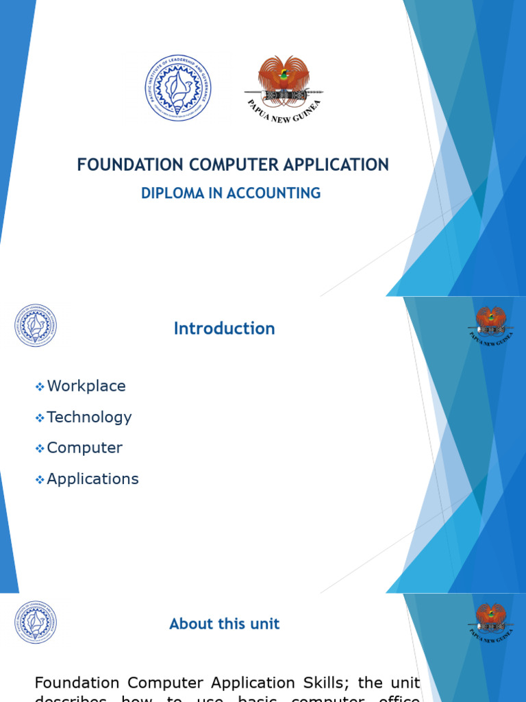 Foundation Computer Application Skills | PDF