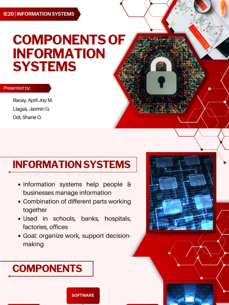 Components of Information Systems | PDF | Computer Network | Databases