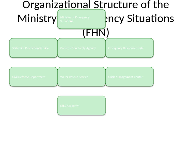 FHN Organizational Structure | PDF