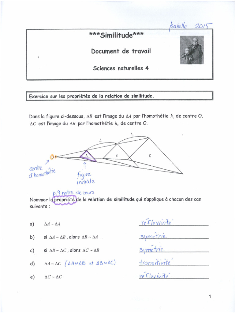 Corrigé Des Exercices de Similitude | PDF