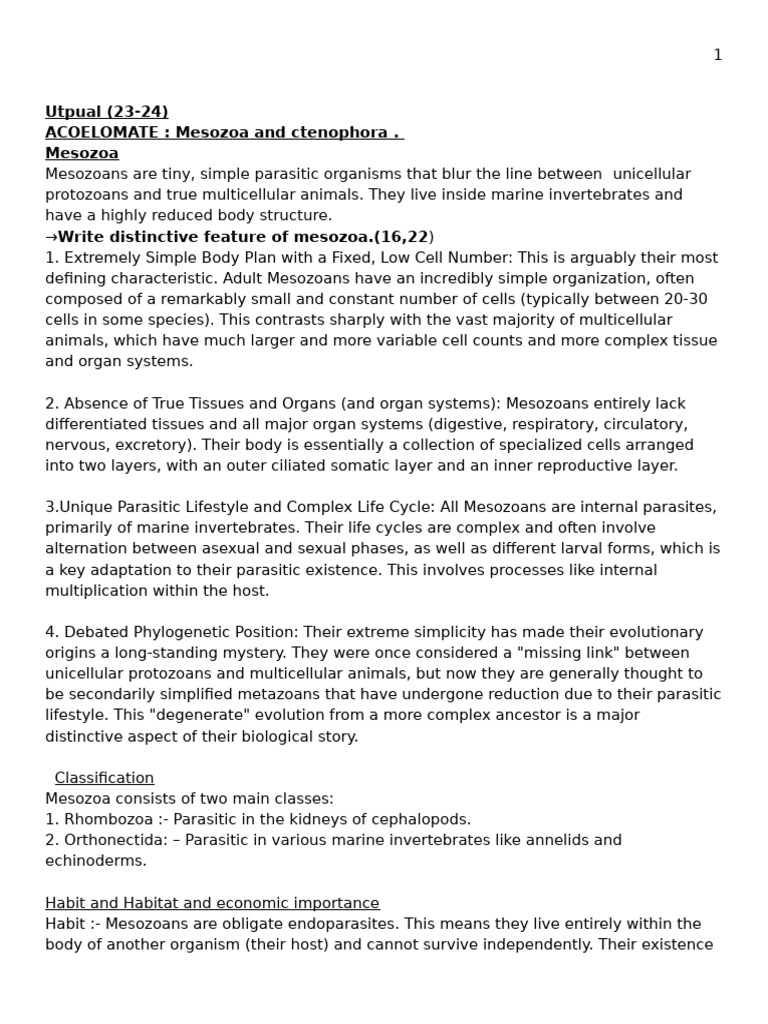 Mesozoa and Ctenophora Overview | PDF | Zoology | Biology