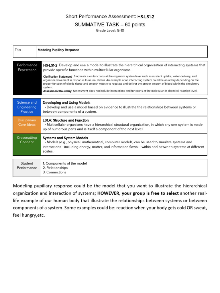 HS-LS1-2 SUM - Assessment - Modeling Pupillary Response | PDF ...