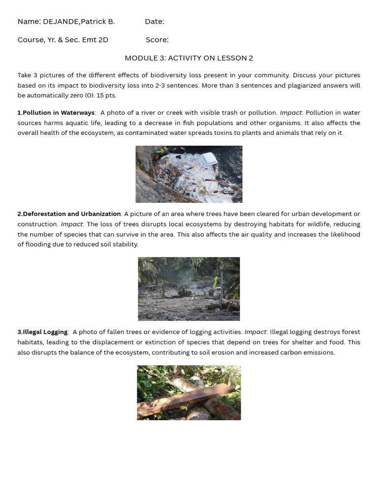 Name PDF | PDF