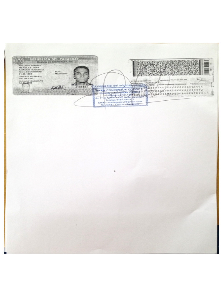 Documentos Amadeo Mereles | PDF