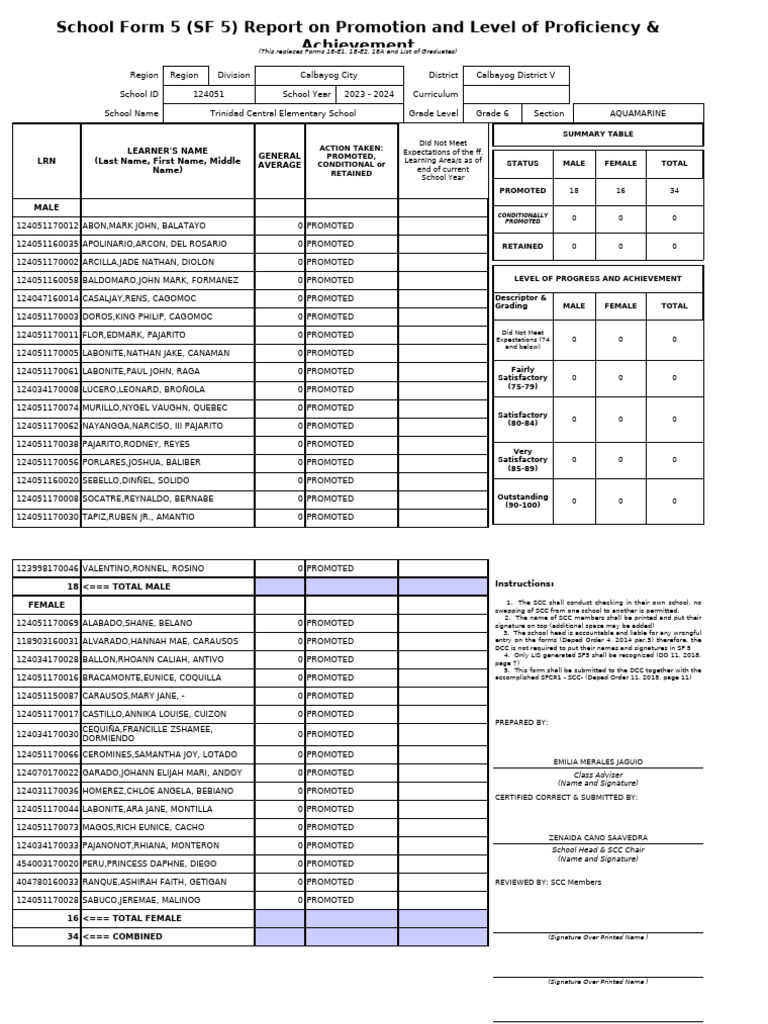 Grade 6 Promotion Summary Report 2023 | PDF