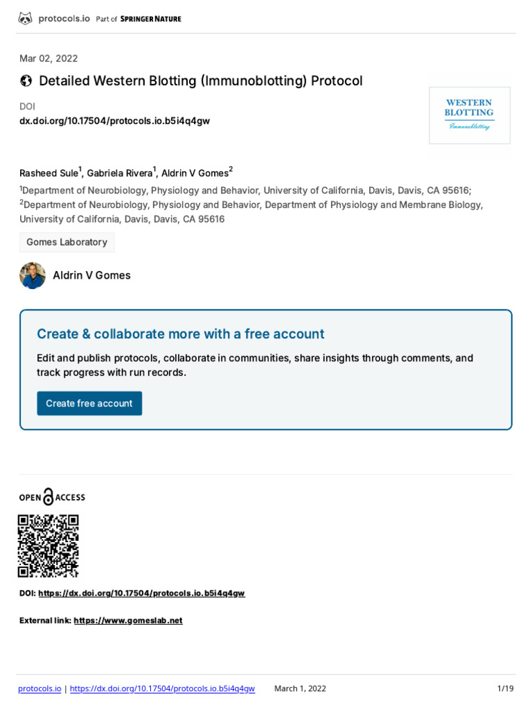 Detailed Western Blotting Protocol | PDF | Western Blot | Laboratory ...