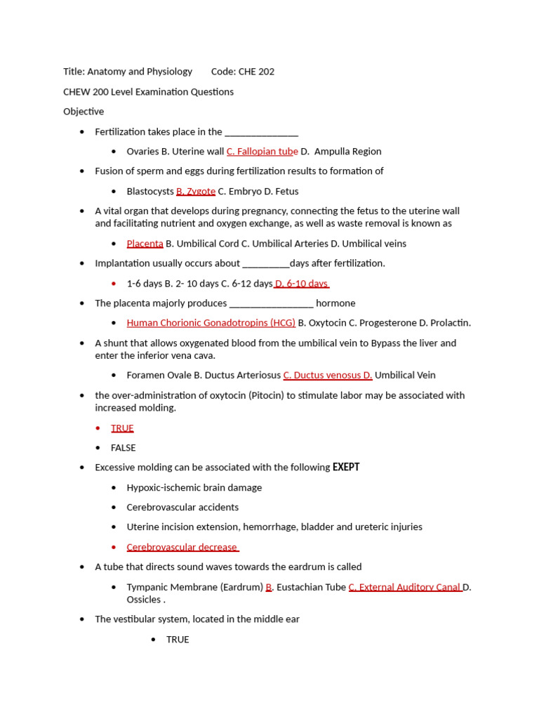 Chew 200 Anatomy 2nd Semester Exam | PDF | Muscle | Uterus
