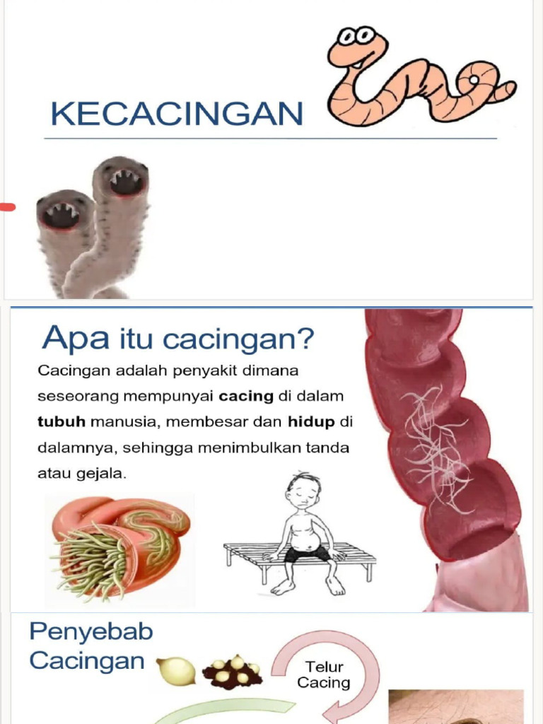 Cacingan | PDF