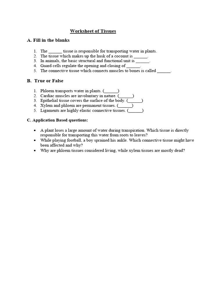 Worksheet of Tissue (9th) | PDF