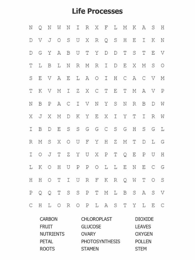 LifeProcessesWordSearch 1 | PDF