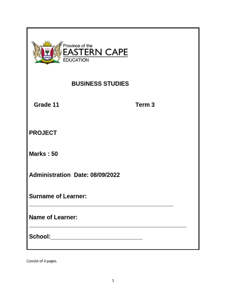 Grade 11 Business Project Guidelines | PDF | Entrepreneurship | Business